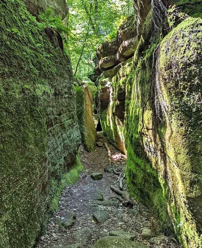 Walls of ancient bedrock pressing in from both sides, proof that the best corridors weren't designed by humans.