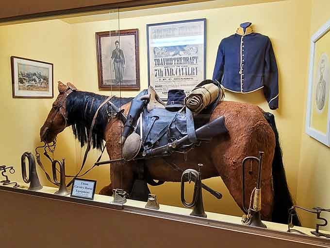 Union cavalry gear on full display. This horse has seen things your history teacher never mentioned.