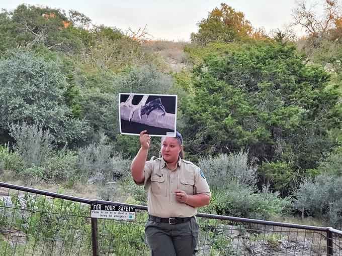 A park ranger sharing bat knowledge with the crowd, because the best guides always make you feel like an insider.