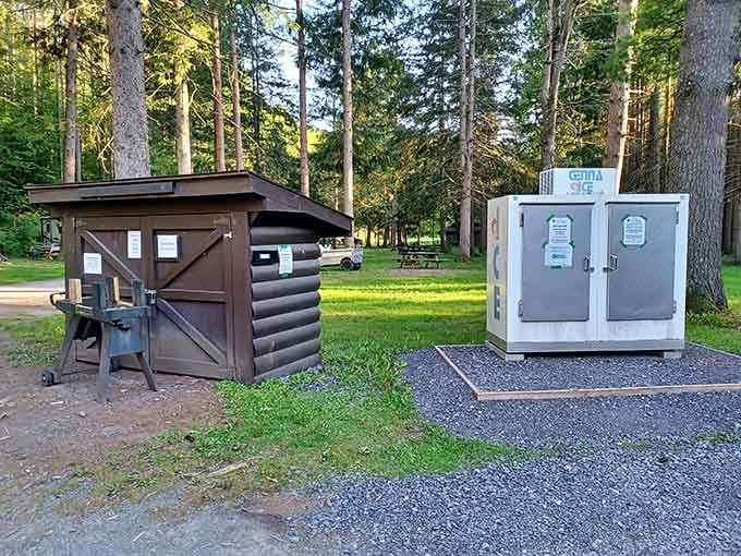 Firewood and ice, the two essential currencies of any great camping trip, conveniently available right here in the forest.