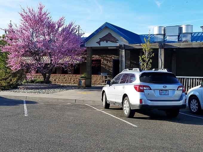 Brewsky's Broiler sits beneath a blooming tree, looking like exactly the kind of place that never disappoints.