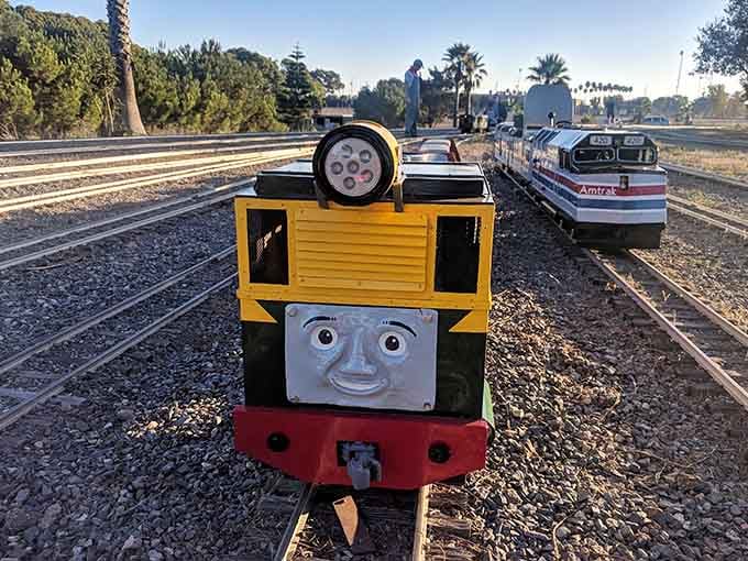 Even Thomas the Tank Engine makes appearances here, delighting kids who thought he only existed on TV.