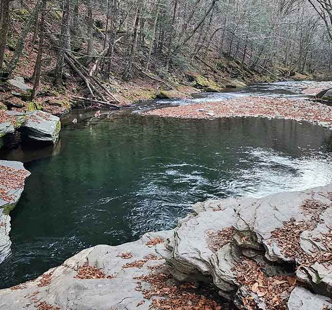 In autumn, the leaves fall and the crowds thin. The Blue Hole quietly becomes even more beautiful.