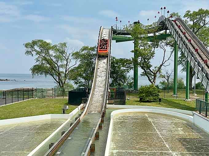 The log flume plunges toward Long Island Sound in the background, a perfect reminder that getting soaked was always the plan.