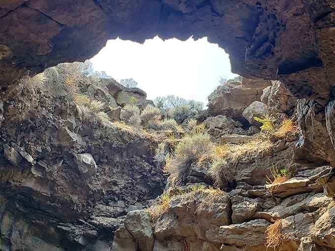 That opening framed by vegetation shows how nature reclaims everything, even ancient volcanic tubes, with surprising beauty.