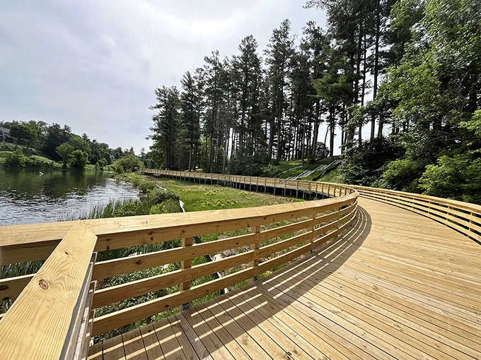 A brand new boardwalk curves along the water through towering pines, making a stroll here feel like a walk through a living painting.