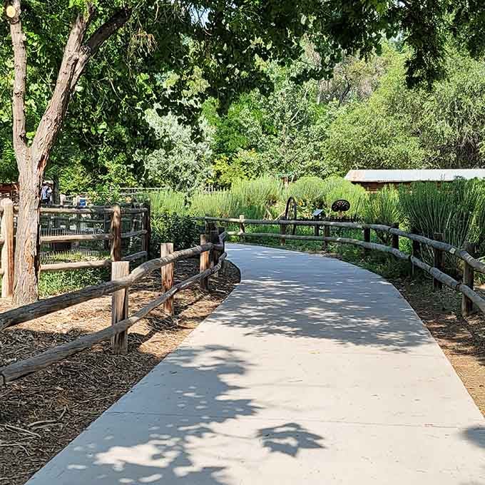 These pathways wind through the zoo with enough shade and curves to make the journey as pleasant as the destinations.