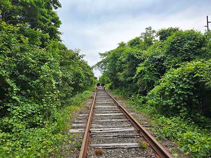 The tracks stretch endlessly forward through wild greenery, quietly promising something worth pedaling toward.