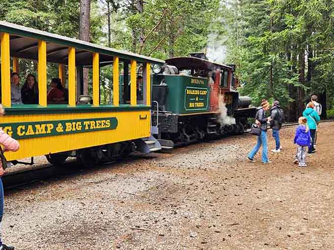 Families boarding the Dixiana at the redwood stop, where the trees are enormous and the smiles are even bigger.