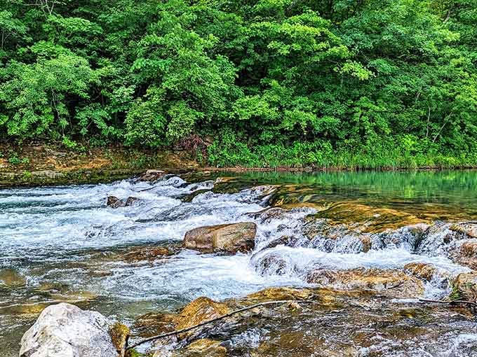 Water tumbling over Ozark rocks with zero concern for your schedule. The river moves at its own pace, and honestly, good for it.