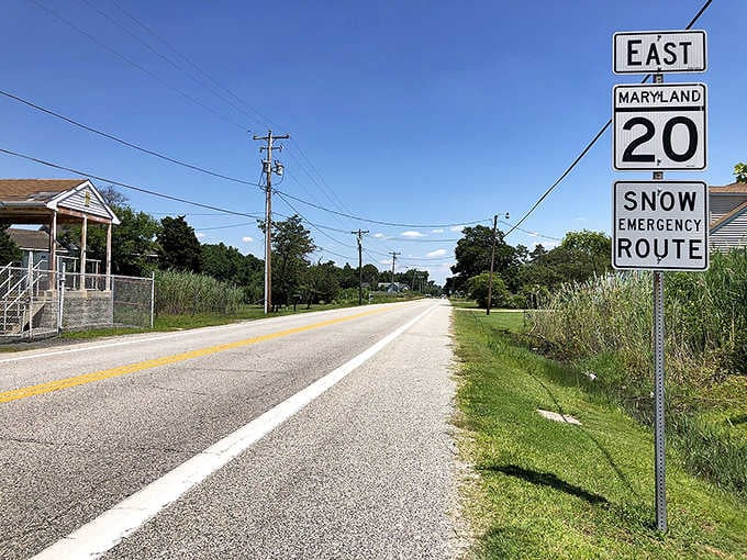 Maryland Route 20 East leads straight to Rock Hall. Consider this your official permission to follow it.