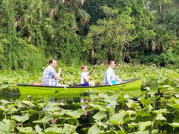 Paddling through lily pads feels like navigating nature's own obstacle course, except everyone wins and nobody keeps score here.