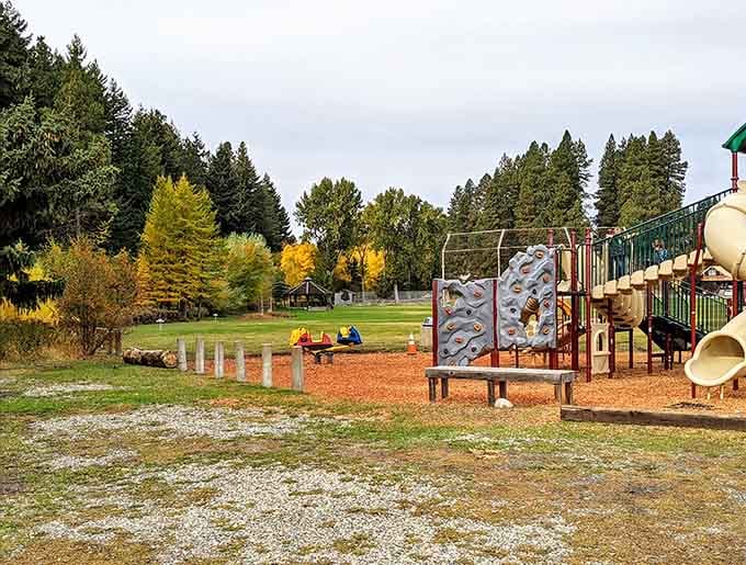 Roslyn Pioneer Park turns golden in autumn, offering families a peaceful green escape right in the heart of town.
