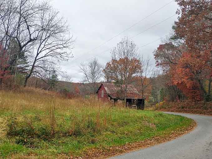 That rustic barn and autumn leaves combo hits different when you're actually here experiencing it.
