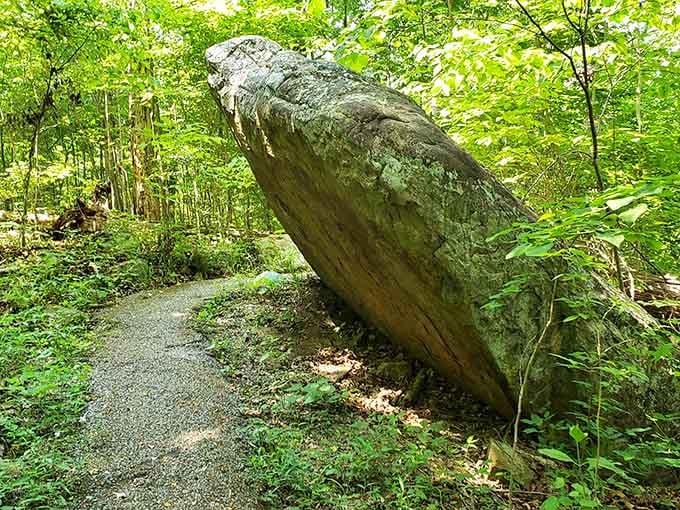 A massive boulder leaning casually along the trail, unbothered by time. Honestly, a mood.