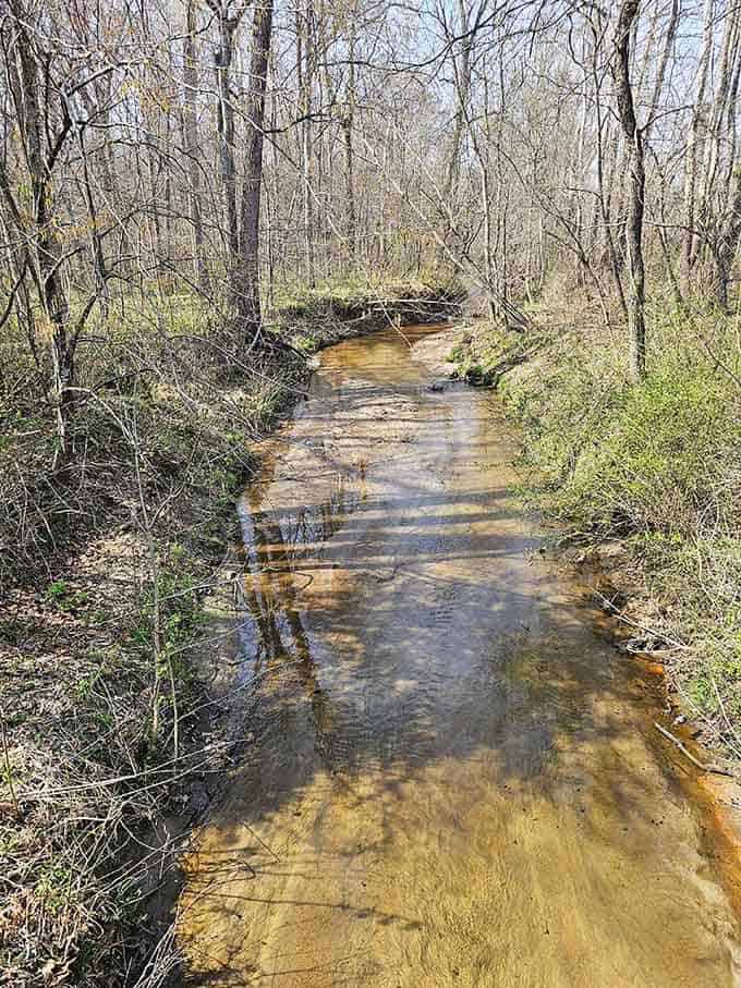 Sailor's Creek runs amber and steady through bare winter trees, indifferent to the enormous history surrounding its banks.