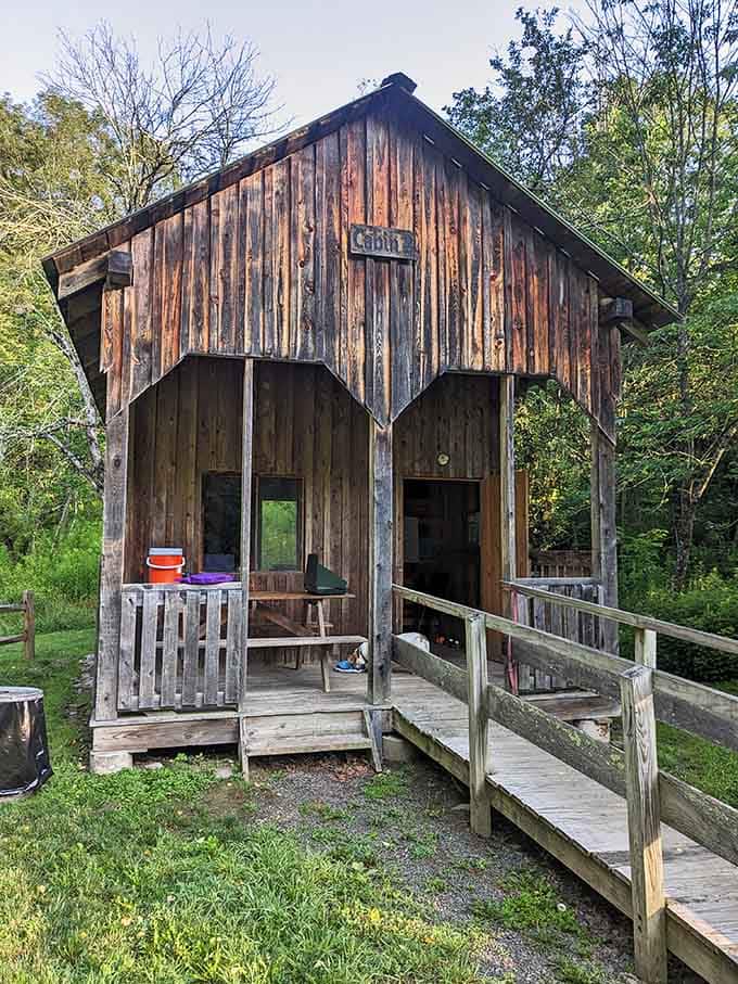 Rustic cabin life at Salt Springs means trading your Wi-Fi password for something far more valuable, like actual peace and quiet.