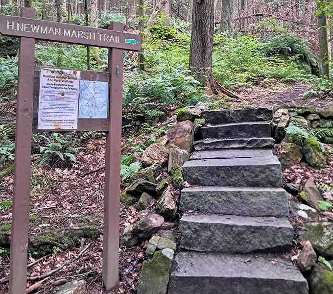 Stone steps and a trail sign marking the H. Newman Marsh Trail. Even the entrances here feel like an adventure.
