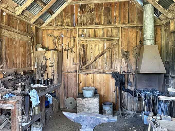 Every tool on these walls earned its place, no decorative farmhouse aesthetic here, just the real thing.