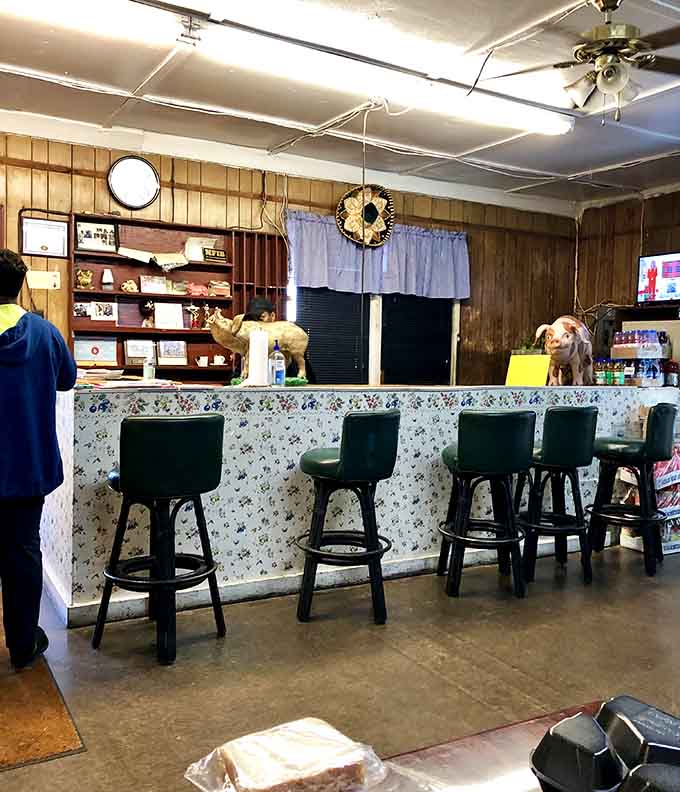Green barstools, pig figurines on the counter, and a ceiling fan overhead, this room has genuine, unscripted character.