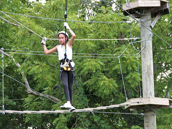 Walking a cable between treetops, because the ground is overrated and the sky is calling your name.