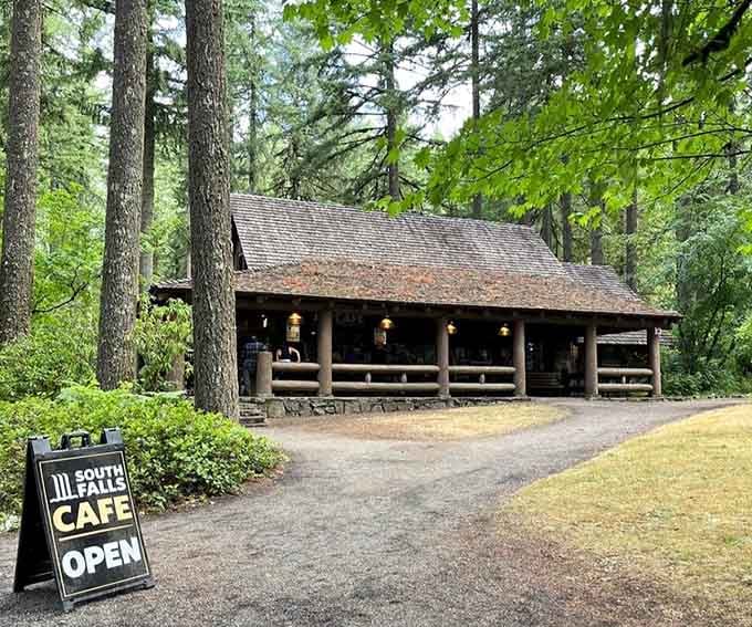 The South Falls Cafe sits tucked in the trees, ready to reward your tired legs with something warm and well-earned.