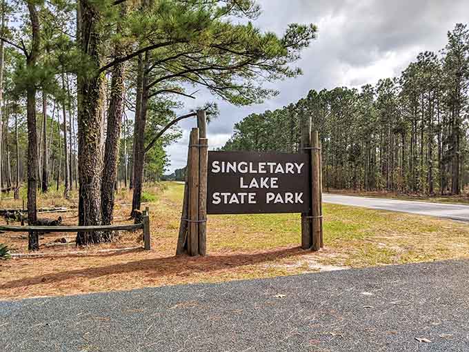The sign says welcome. The longleaf pines lining the entrance say it even louder and with considerably more drama.