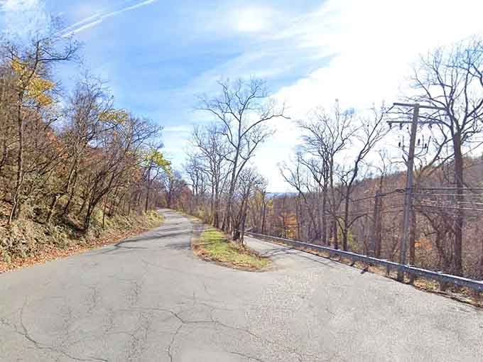 The road climbs toward the ridge like it has somewhere important to be, and honestly, so do you.