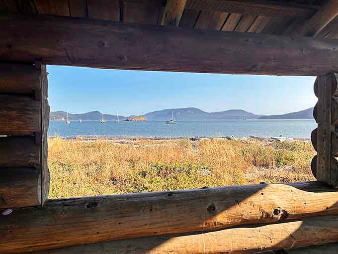A window view that costs nothing but makes you feel like you're staying at a five-star resort.