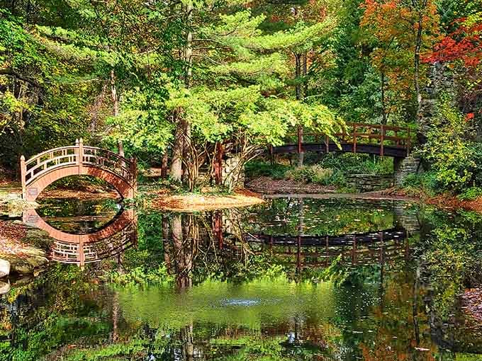 The Japanese Garden in fall is the kind of view that makes your phone camera feel completely inadequate.