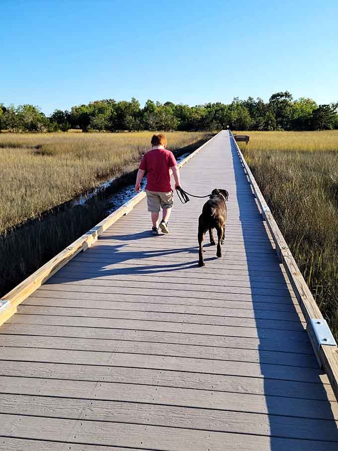 Dogs are welcome on the boardwalk at Stono River County Park, and they seem to love every step.