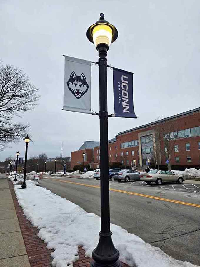 UConn Huskies banners lining the campus streets set the tone, this place takes its teams seriously and lovingly.