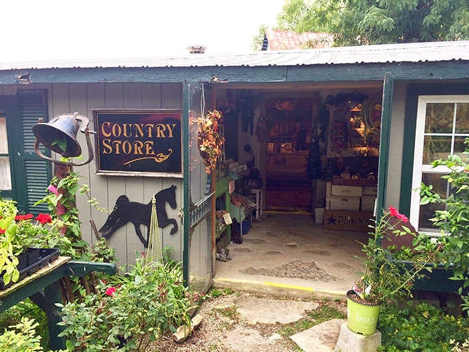 The Country Store is packed with finds that'll have you rethinking your entire home décor strategy.