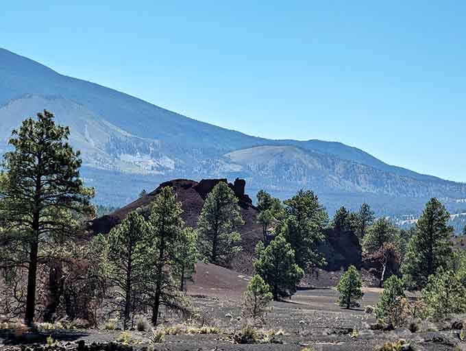 Red volcanic spires jutting up through the dark cinder field, with the San Francisco Peaks standing guard behind.