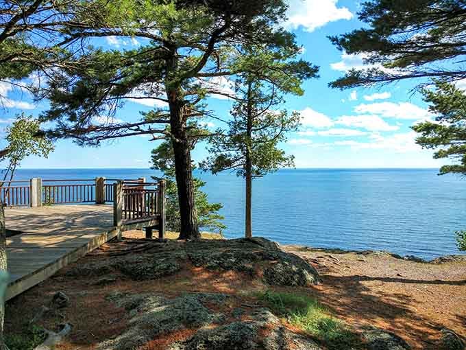A wooden overlook platform frames an endless stretch of Lake Superior blue, framed by wind-sculpted pines leaning into the breeze.