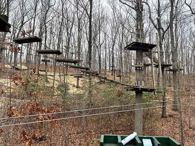 Platforms stretching into the bare winter sky. The adventure doesn't really care what season it is.