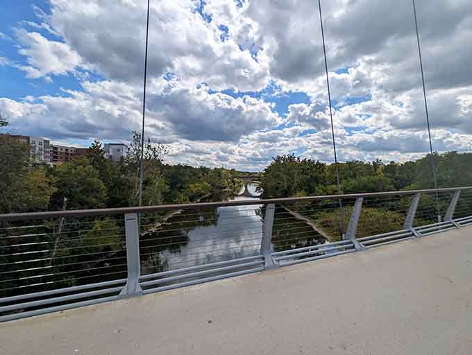 Those horizontal cables and sturdy railings frame river views like nature's own picture gallery for pedestrians.