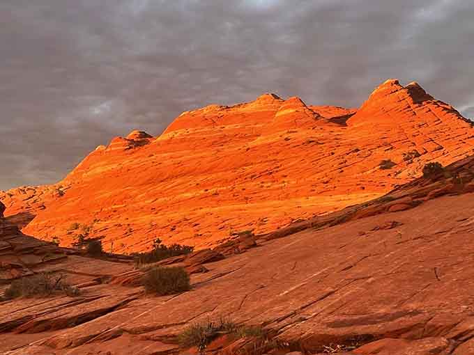 Late light sets the buttes on fire, turning the whole landscape into something almost too good to photograph.