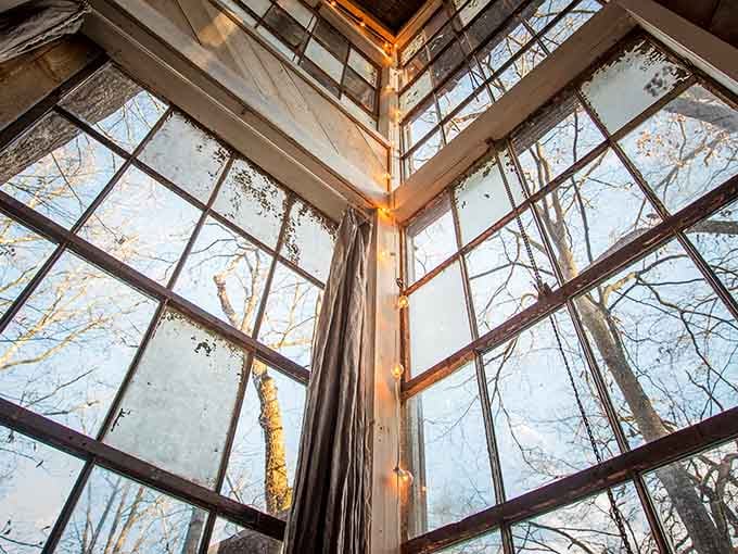 Looking straight up through corner windows wrapped in string lights, the bare winter trees frame a sky that feels impossibly cinematic.