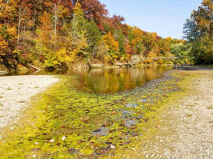 Fall turns Sugar Creek's shoreline into a living canvas of amber, crimson, and gold reflections.