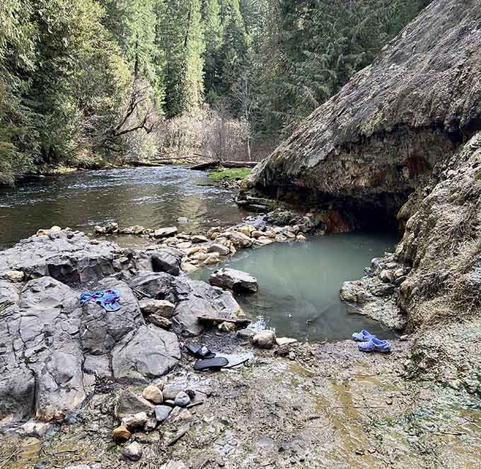 River-level pools at Umpqua offer a front-row seat to the North Umpqua's wild rush.