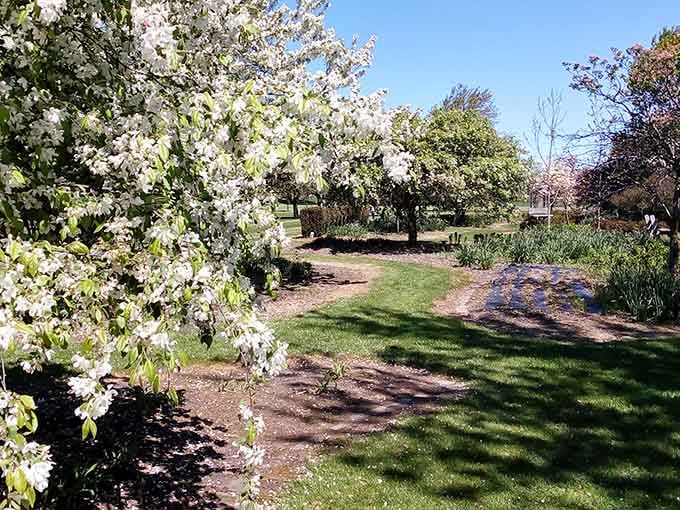 Flowering trees arch over a quiet path, turning a simple walk into something genuinely unforgettable.