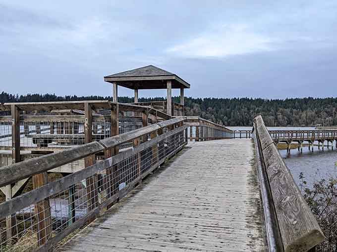 A covered shelter along the boardwalk trail proves that even wildlife watching deserves a good roof over your head.