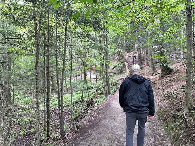 A solo hiker heads toward the falls, the forest closing in around the path like a curtain.