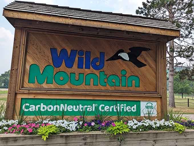 Welcome to Wild Mountain, where carbon neutral meets adrenaline positive in the best possible way.