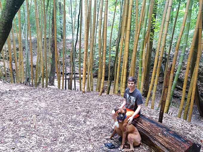 Boy and dog, bamboo and sunshine. This is what a perfect Saturday afternoon looks like, no debate necessary.