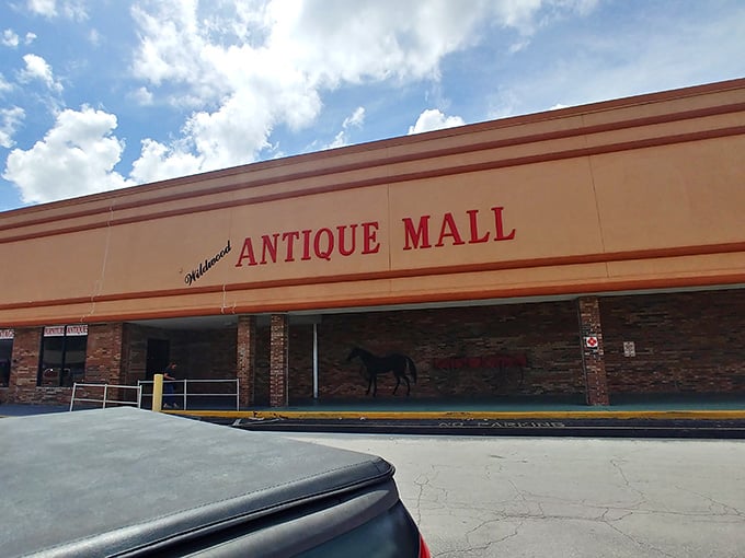 Wildwood Antique Mall: where someone else's forgotten treasure quietly waits to become your favorite story.