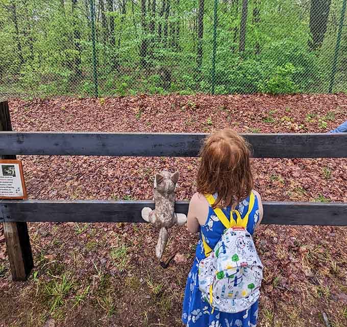 A little visitor holds her stuffed animal up to the fence, introducing it to the real thing.