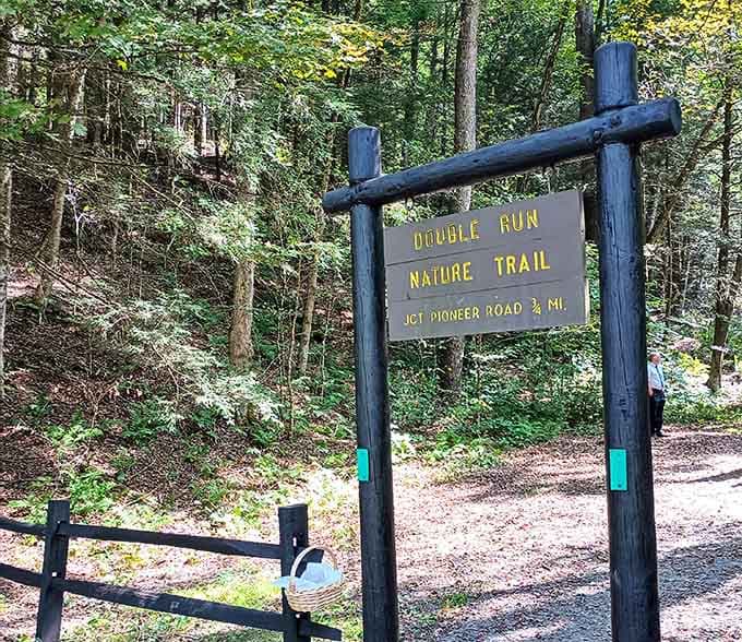 The Double Run Nature Trail entrance looks like the opening scene of every great adventure movie you've ever loved.