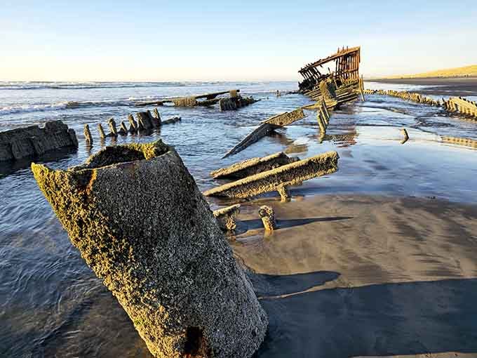 Golden morning light catches every crack and crevice of these steel ribs, turning decay into something almost architectural.